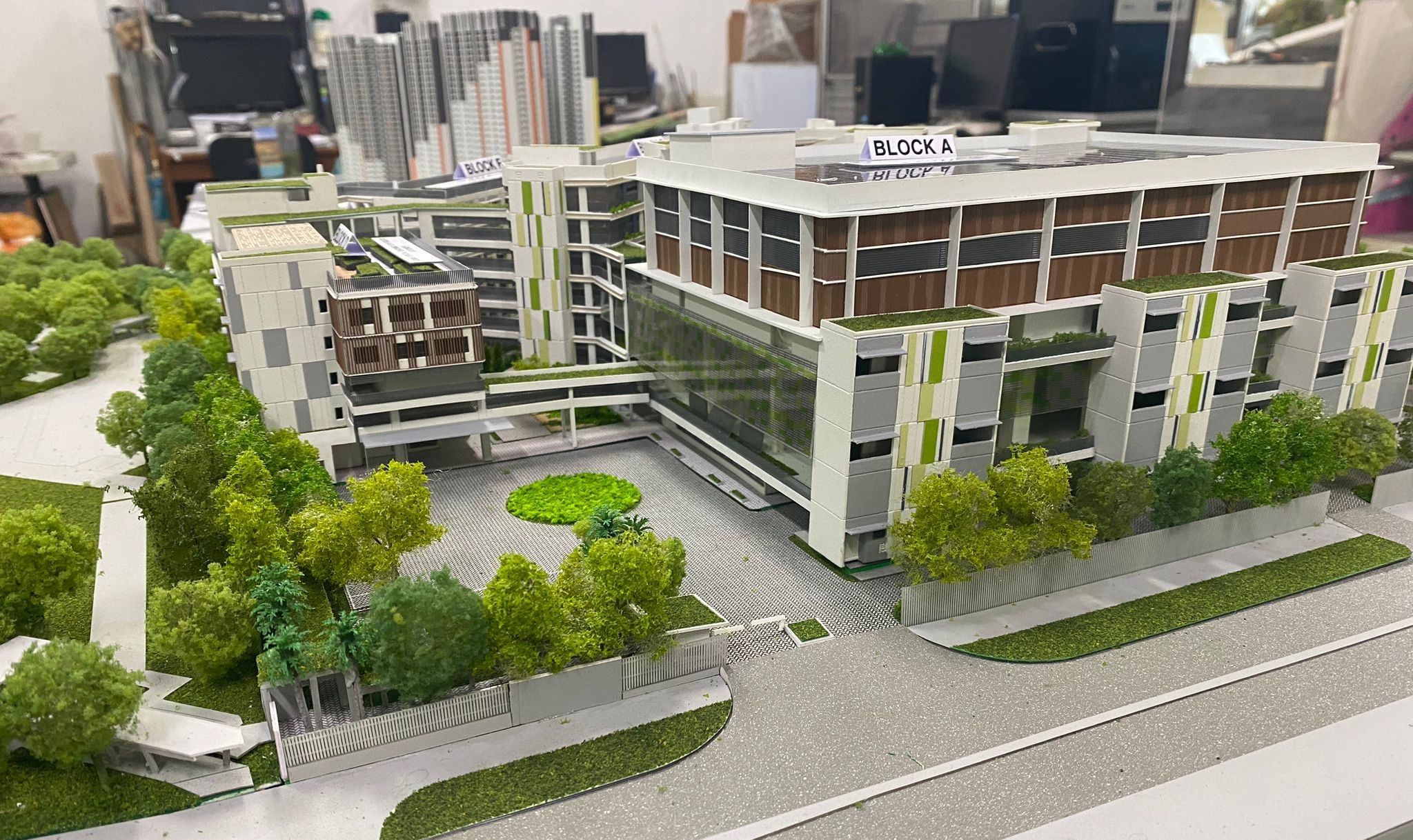 Pioneer Primary School